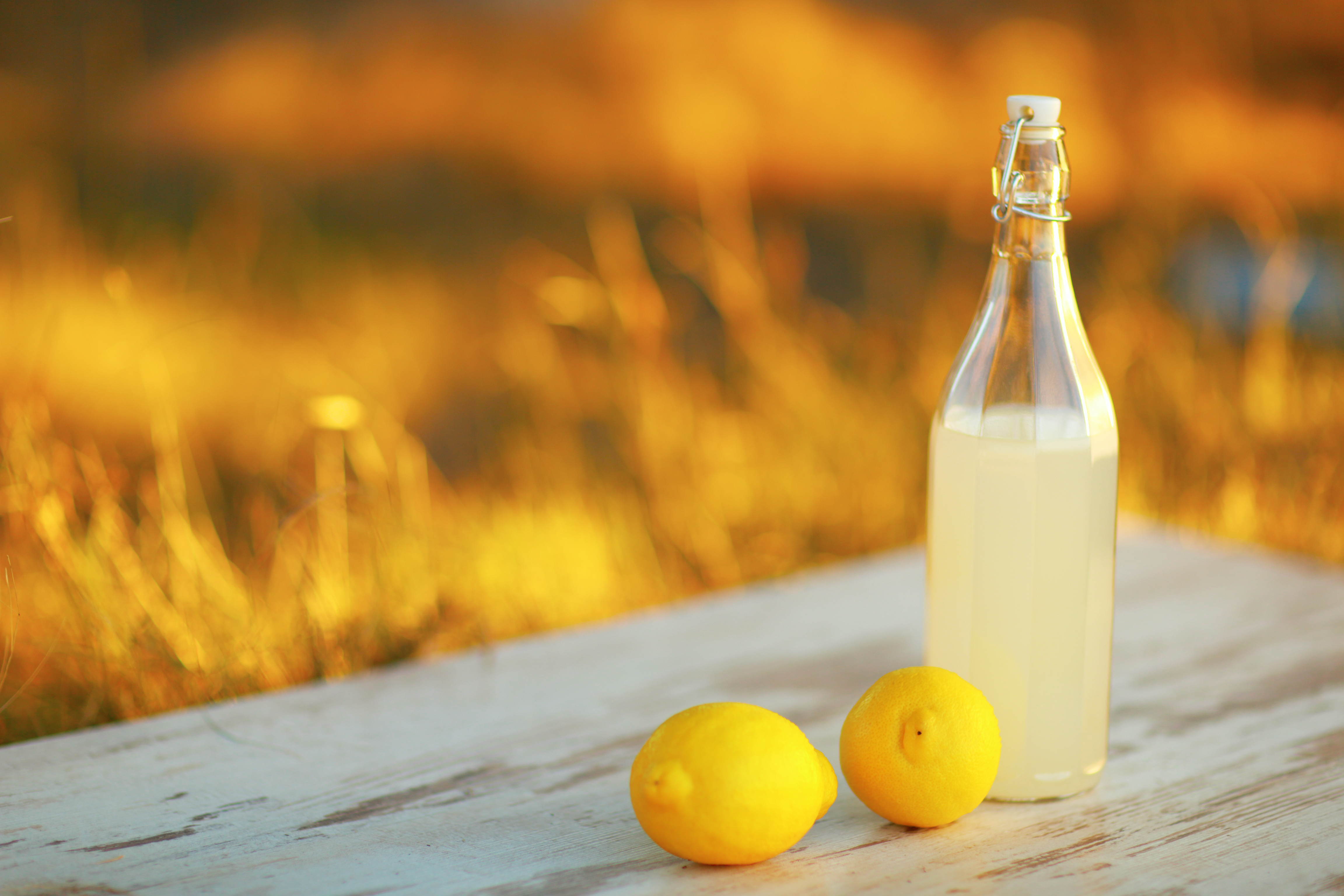 Financial Services Blog Series: How Lemonade is Disrupting Insurance